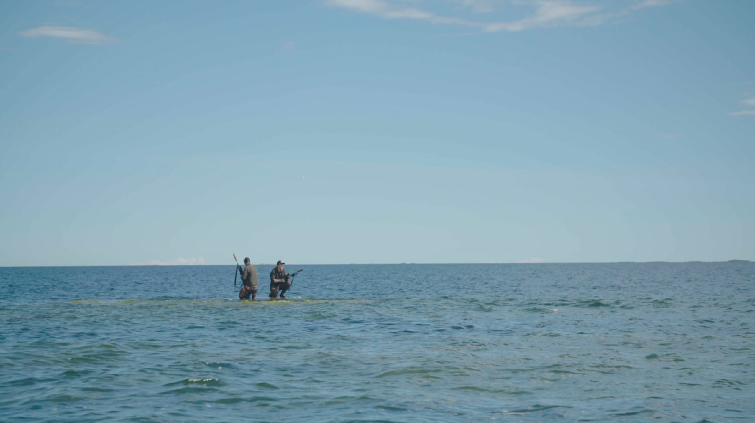 Part 4 – How Many Seals is it Possible to Shoot? - Deep Sea Reporter