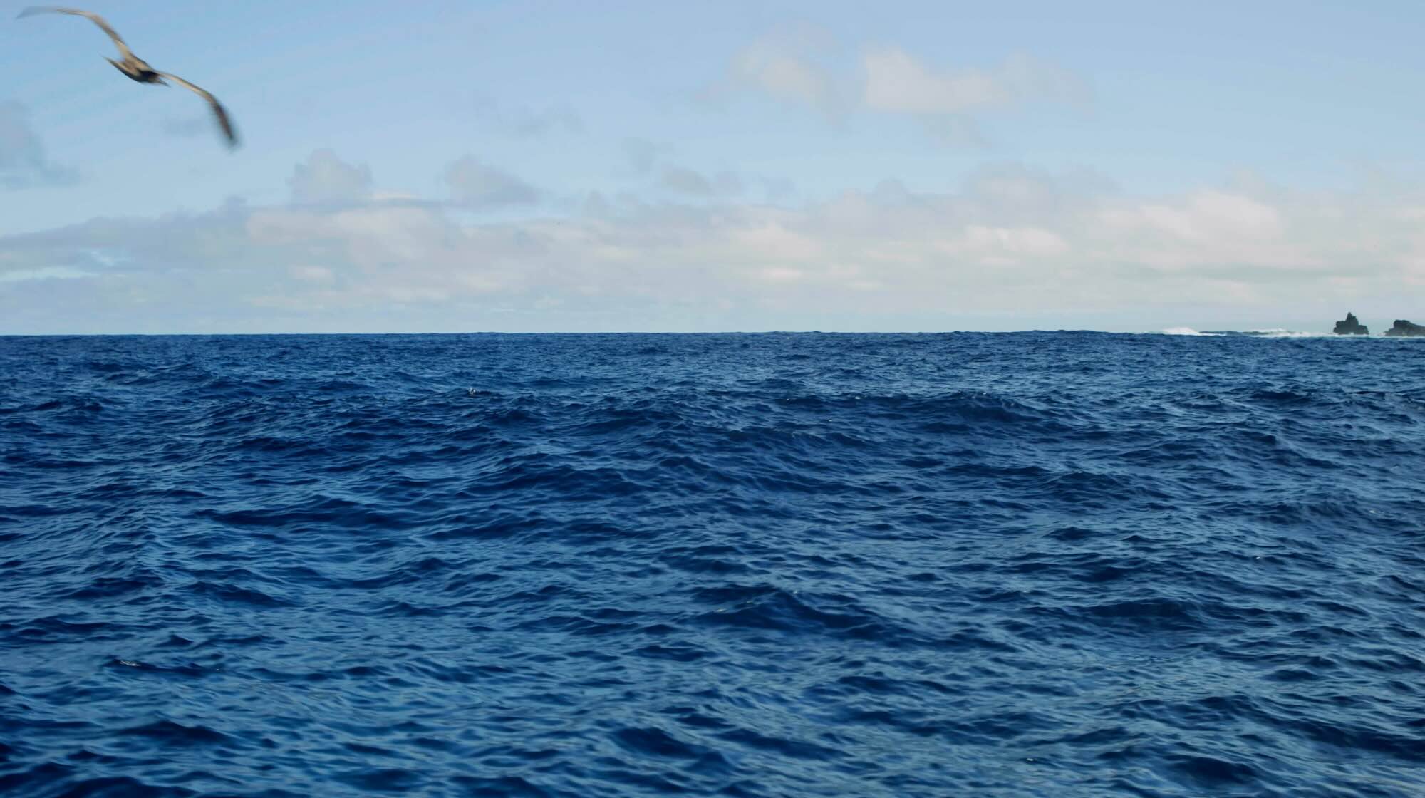 Understanding Marine Research - Deep Sea Reporter
